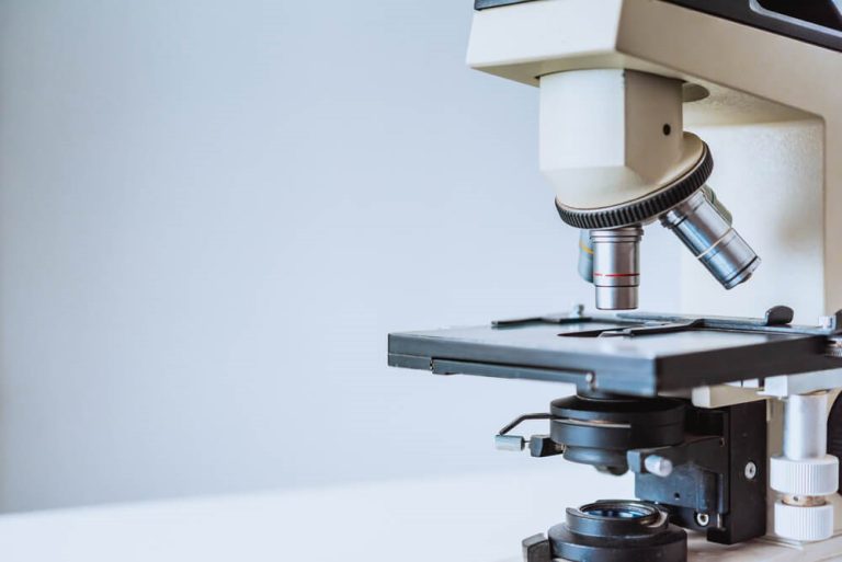 Tendon Xanthoma: A Guide to This Medical Condition